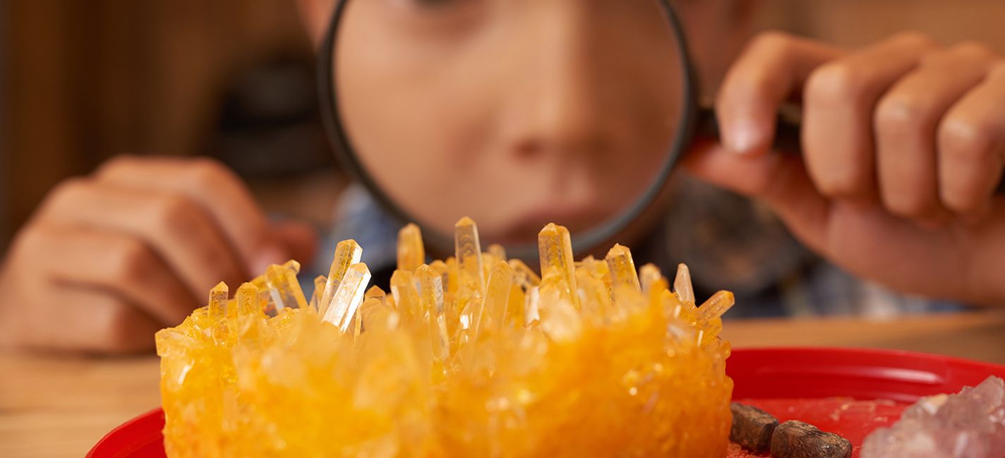 Virtual Science Clubs | Mad Science